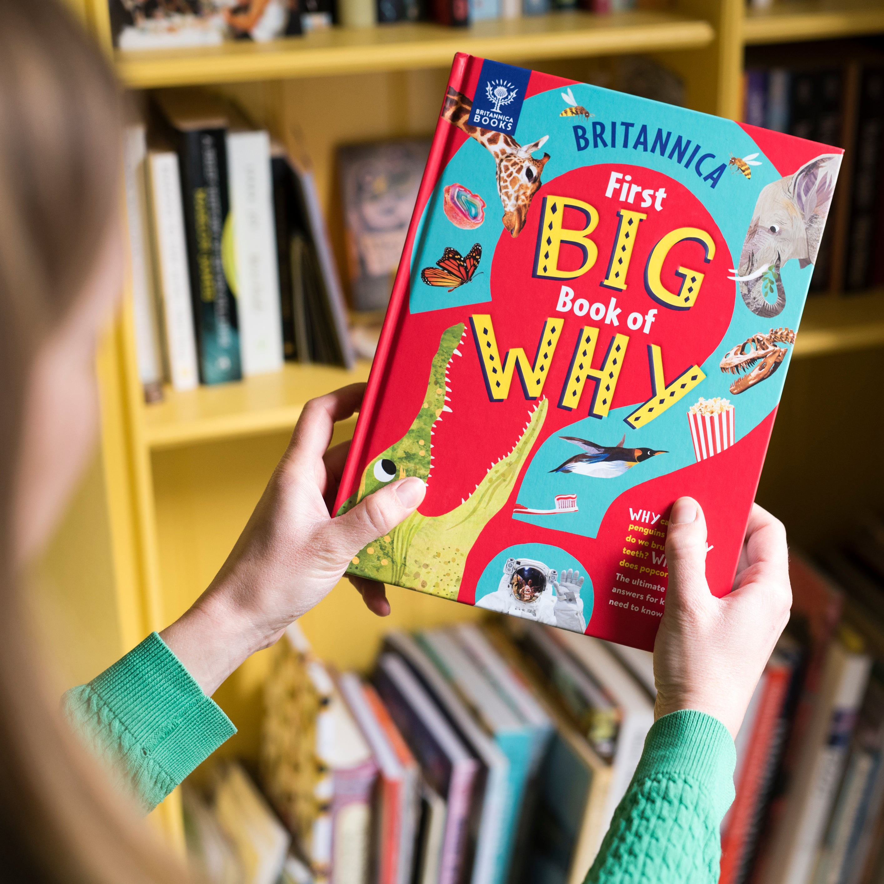 Children's Books – Kate Slater Illustration