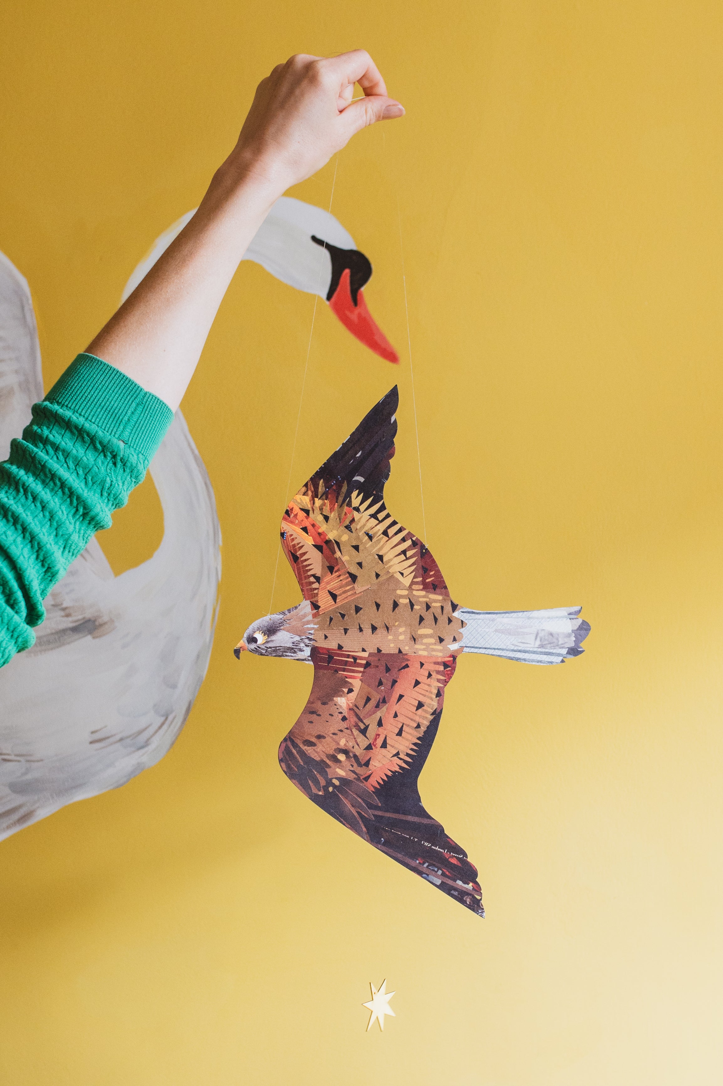 Kestrel Decorative Bird Art | Kate Slater – Kate Slater Illustration