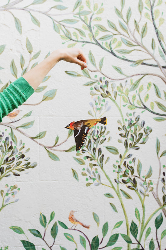 Waxwing Decorative Bird Art | Kate Slater – Kate Slater Illustration