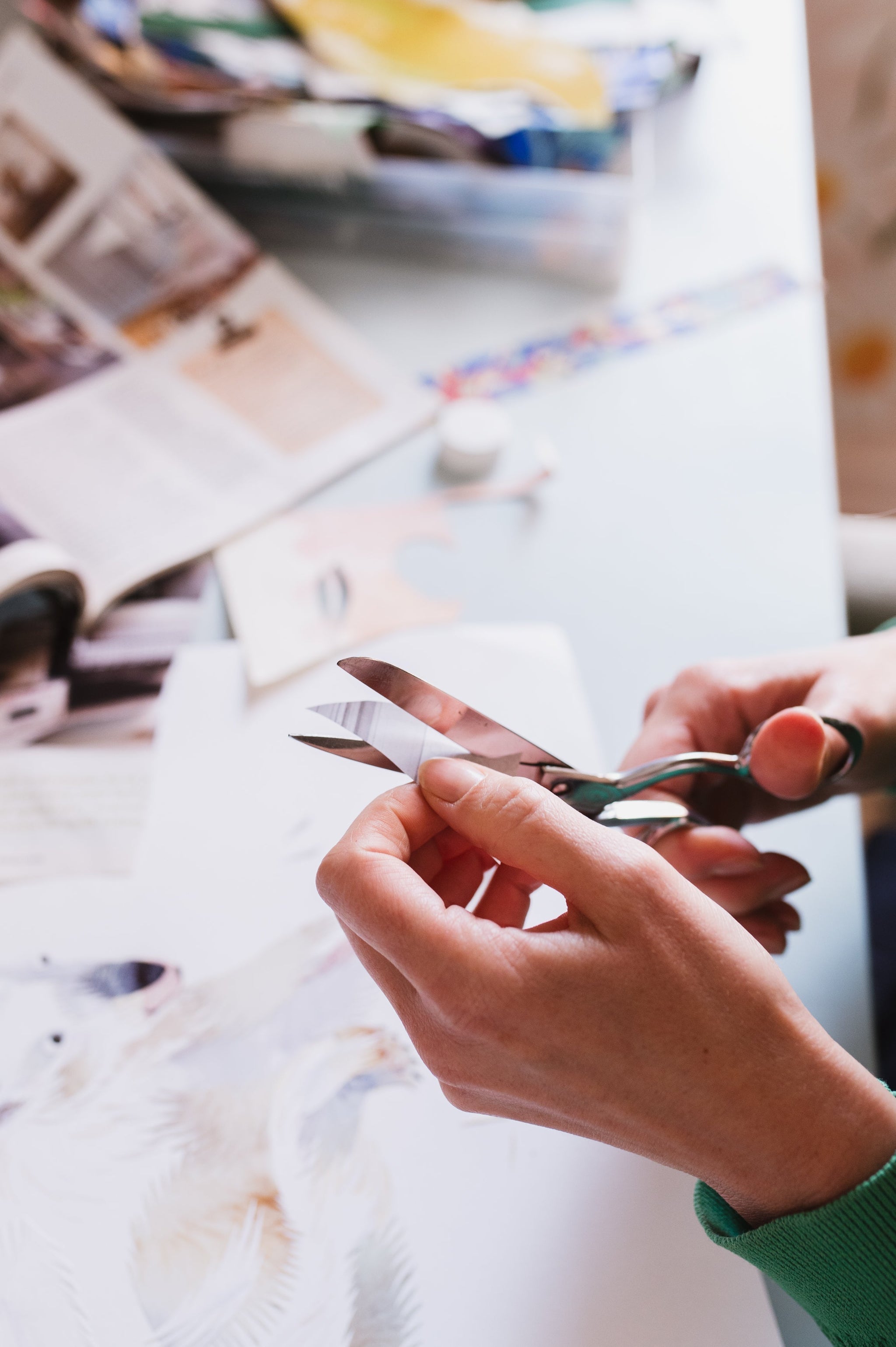 Goldfinch Decorative Bird Art | Kate Slater – Kate Slater Illustration