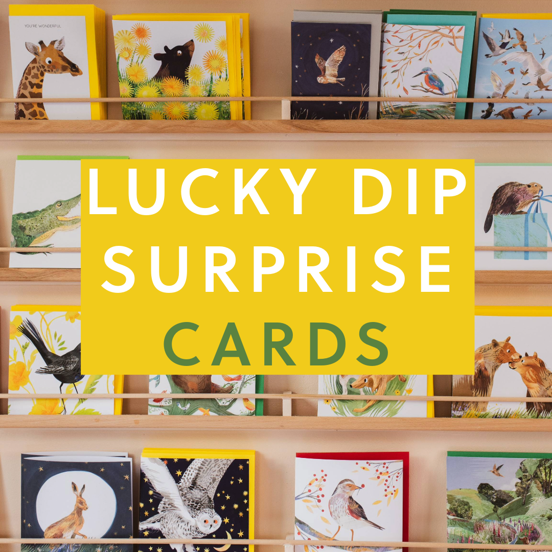 Surprise Pack of Greetings Cards – Kate Slater Illustration
