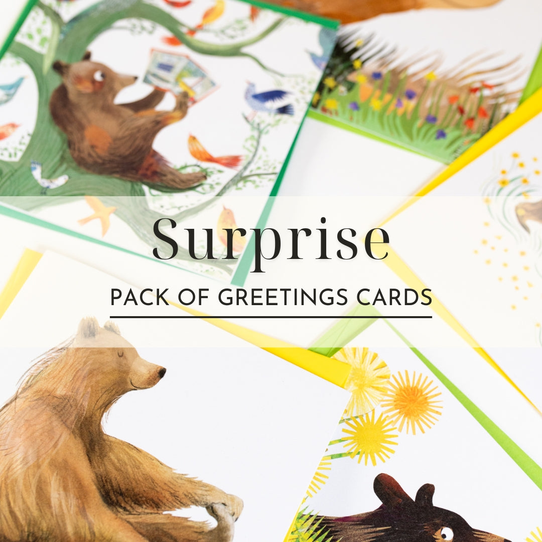 Surprise Pack of Greetings Cards – Kate Slater Illustration