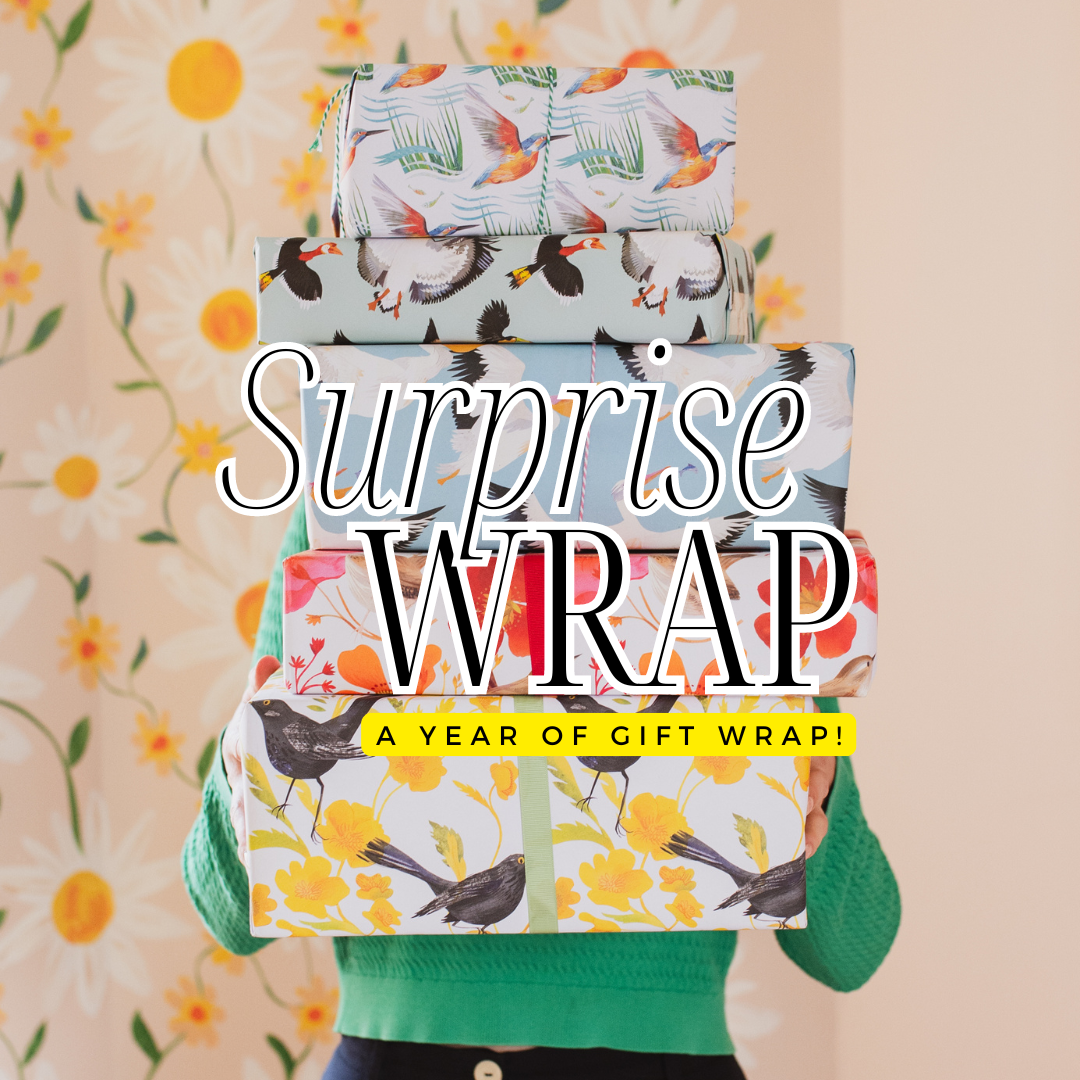 Suprise Pack of Luxury, 100% Recycled Wrapping Paper – Kate Slater ...