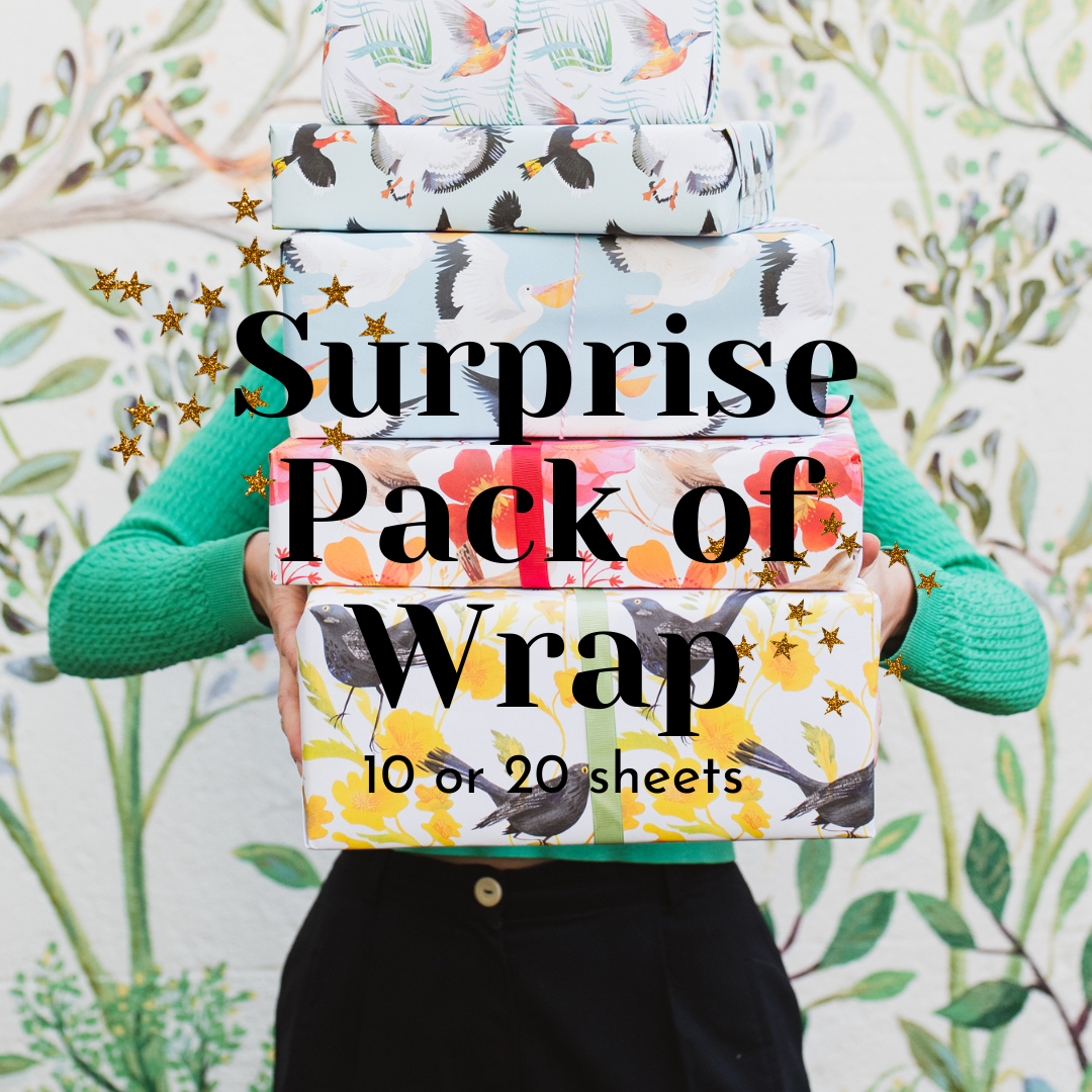 Suprise Pack of Luxury, 100% Recycled Wrapping Paper – Kate Slater ...