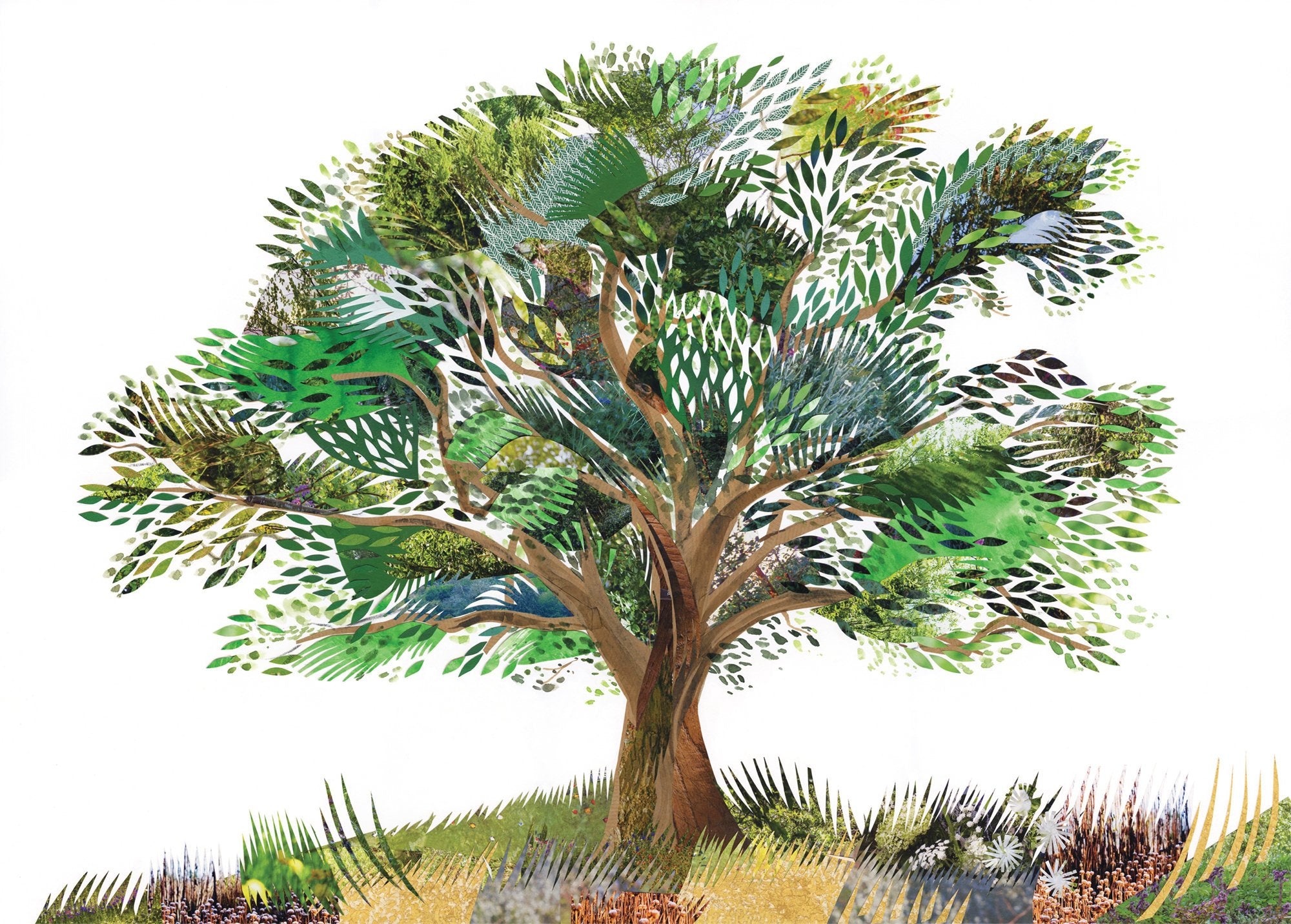Oak Tree - Fine Art Print – Kate Slater Illustration
