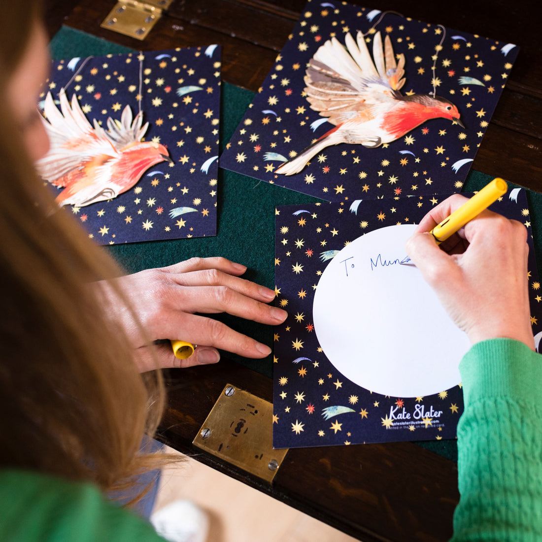 Bright Robin Decorative Bird Art | Kate Slater – Kate Slater Illustration